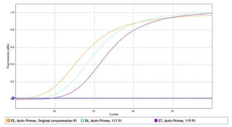 The Curve Obtained From Qpcr With Bak Primer And Serially Diluted