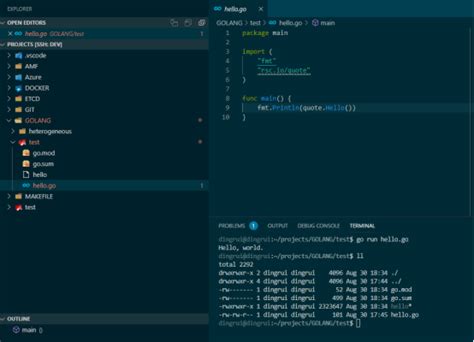 Cannot Import Xxxx Lsp With Go Mod · Issue 2720 · Microsoftvscode Go