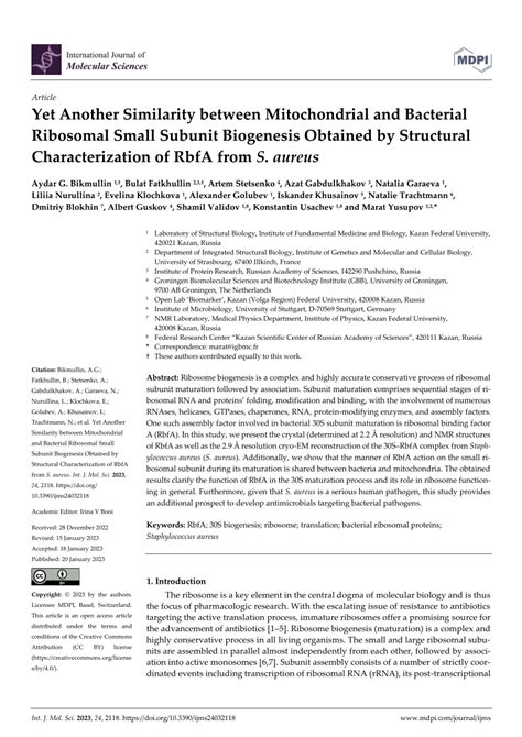 pdf yet another similarity between mitochondrial and bacterial ribosomal small subunit
