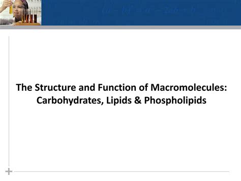 SOLUTION Biotech 108 Structure And Functions Of Macromolecules Studypool