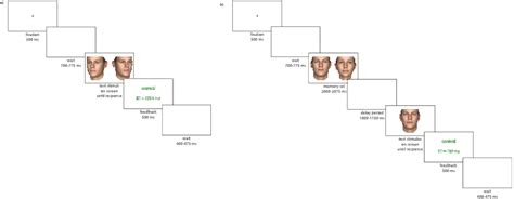 Fig 1 Example Trials Of The Perceptual A And Memory B Condition