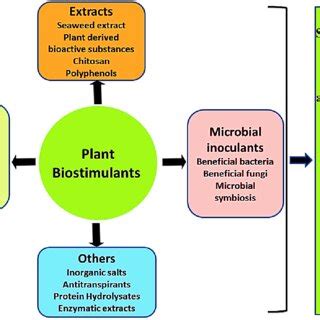 Schematic Representation Of The Different Types Of Plant Biostimulants