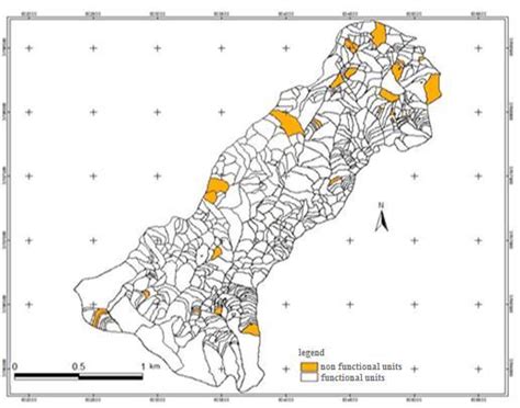Spatial Distribution Of Non Functional Units Download Scientific Diagram
