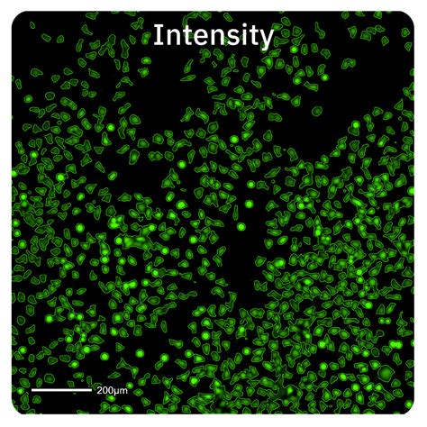 Fluorescence Module Axion Biosystems