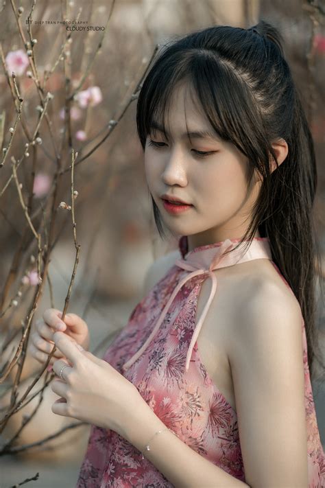 Tet Holiday Aodai Free Photo On Pixabay Pixabay