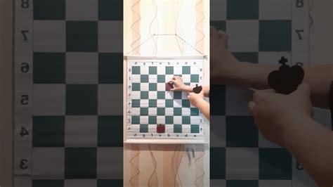 Урок 1 Знакомство с шахматной доской и шахматными фигурами король королева и ладья Youtube