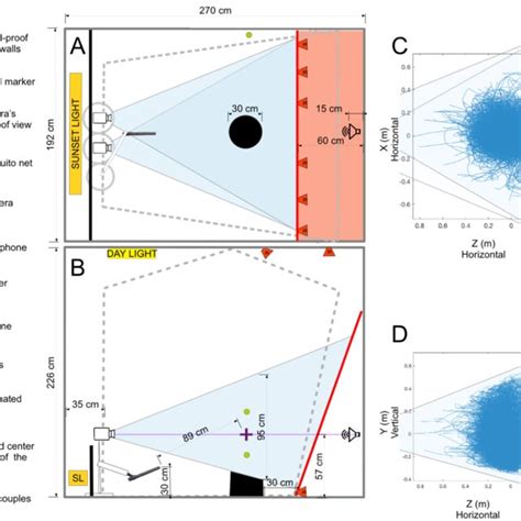 Spectral And Temporal Properties Of Sound Stimuli Spectral First