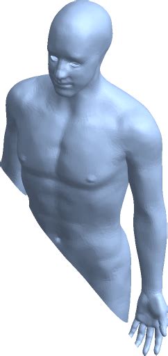 Finite Element Method Regionintersection For Big Mesh Anatomydata