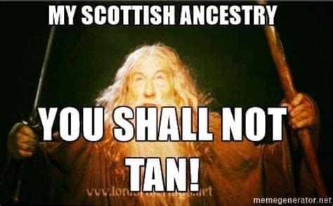 Pin De Kelli Meyer En Everyday Funnies En 2024