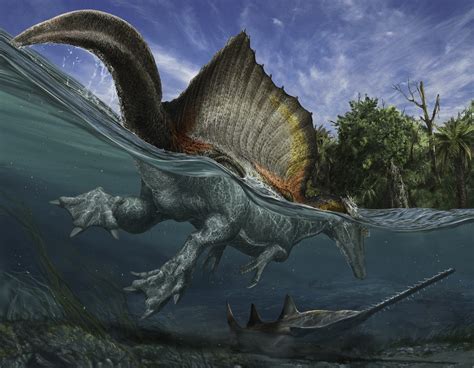 Spinosaurus Current Biology