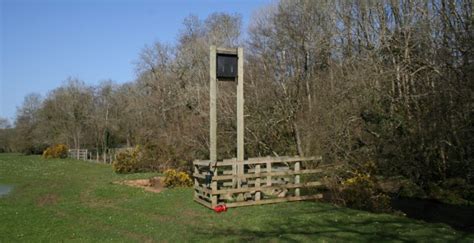 Successful Bat Mitigation Examples Richard Green Ecology