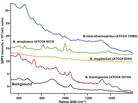 Comparison Of Sers Spectra From Several Bacillus Spore Samples Mixed