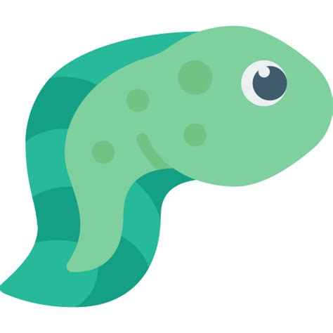 더 자바 백기선 Jvm 구조 올챙이