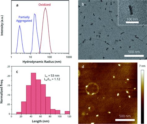 Structure Of Oxidized Micelle Seeds A Dls Demonstrates Oxidized
