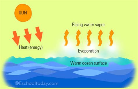 Evaporation Of The Water Cycle Natural And Urban Stormwater Water