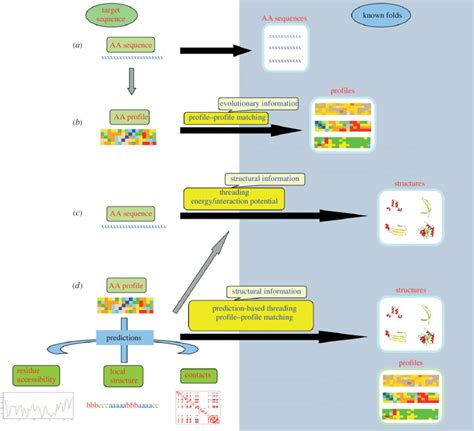 Different Strategies For Protein Fold Recognition The Fold Space Is Download Scientific