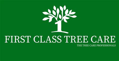 Tree Surveying First Class Tree Care Covering Throughout Cheshire
