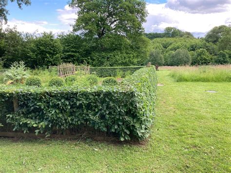 The “hedge Ledge” Has Been At It Grass Cutting Maidstone