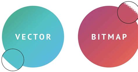 Understanding Graphics The Differences Between Vector And Bitmap Images