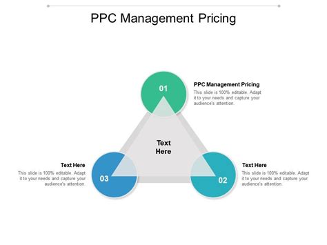 Ppc Management Pricing Ppt Powerpoint Presentation Visual Aids Pictures Cpb Presentation