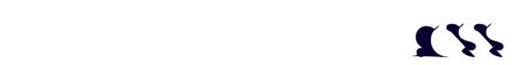 Text Classes Automaticcss