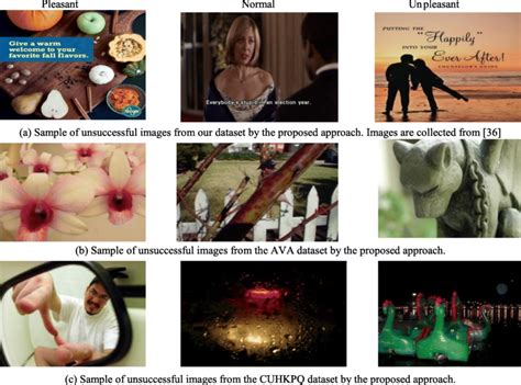Examples Of Misclassification The Proposed Method Misclassifies The Download Scientific
