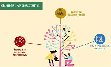 Quantitative Data Characteristics