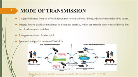 Encephalitis A Deadly Infection Pptx