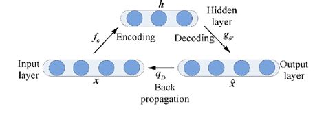 auto encoder with single hidden layer download scientific diagram