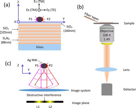 Figure 1 From Far Field Optical Imaging Of Surface Plasmons With A