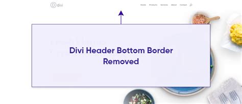 How To Remove The Header Bottom Border In Divi DiviFlash Docs