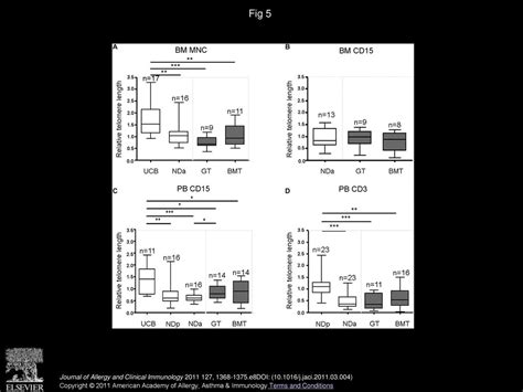 In Vivo T Cell Dynamics During Immune Reconstitution After