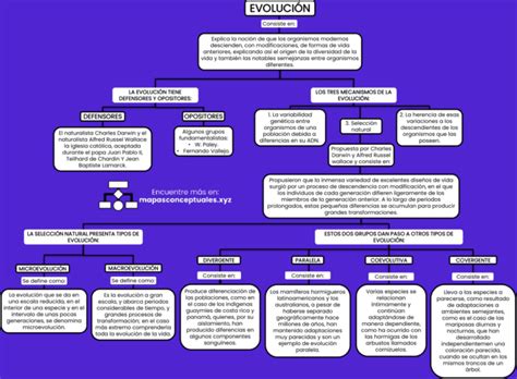 Mapas Conceptuales De La Evolución 【descargar】