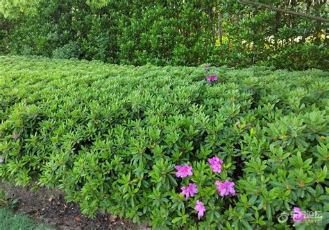 万物生长靠太阳 东论 东方热线·东方论坛 宁波论坛——家长里短写你我身边事