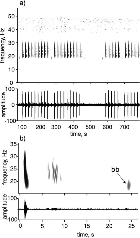 A Spectrogram And Time Series Of A Series Of Fin Whale Calls Recorded