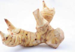 Корень галангала замороженный — Продукты из стран Азии — Asian Foods
