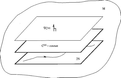 The Local Structure Of Phase Space In A Noncanonical Hamiltonian System