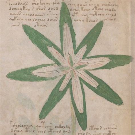 Voynich Manuscript Plants Are Maps Tucker Stem Team