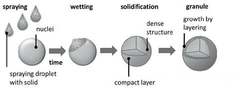 Figure 1 From Dynamic Multi Zone Population Balance Model Of Particle Formulation In Fluidized