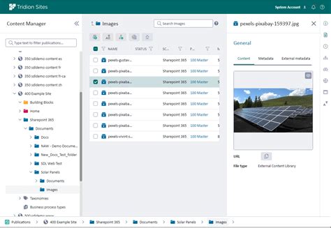 Connector For Sharepoint 365 Usage In Content Manager