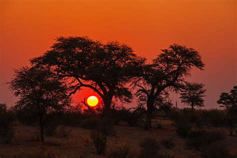Kalahari Desert Sunset Kalahari Desert Photos Images And Pictures