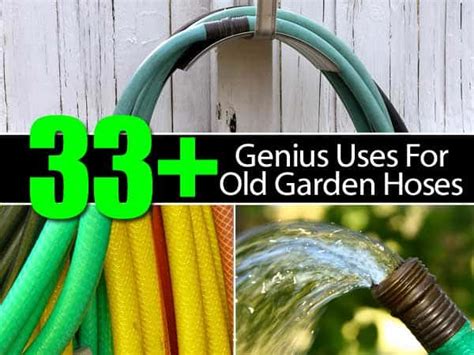 Ideas For Old Garden Hose
