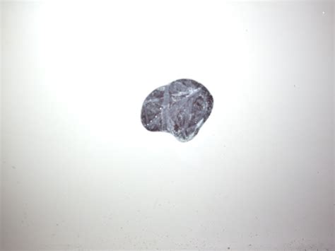 Trying To Fix A Small Hole With Spectrum Gelcoat Paste Patch Question