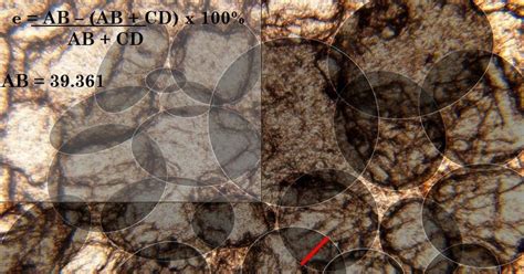 calculating the overlap between two circles r imagej