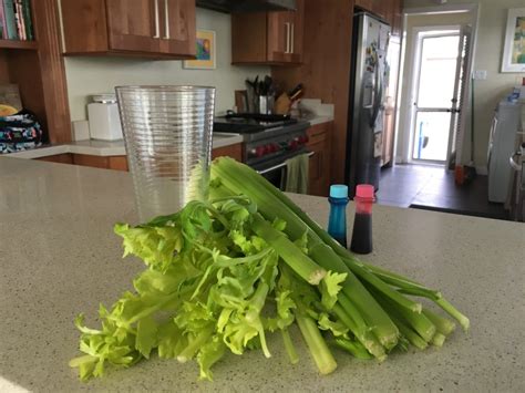 Summer Of Science Celery Experiment
