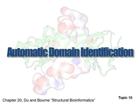 Ppt Automatic Domain Identification Powerpoint Presentation Free