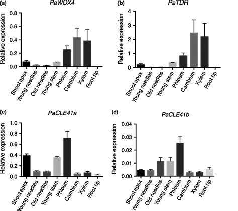 tissue specific transcript levels of pawox4 patdr pacle41a and