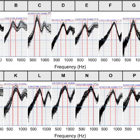 The Transfer Functions A The Transfer Functions Of All Subjects With Download Scientific