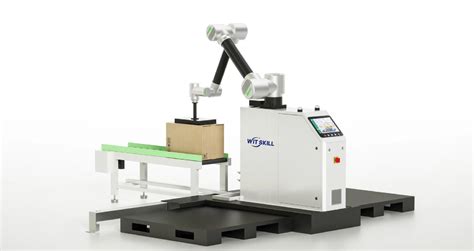 Collaborative Palletizing Workstation Wit Skill