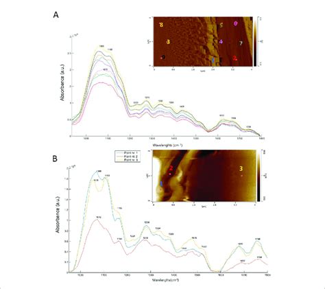 Afm Deflection A And Height B Images And Afm Ir Spectra Of The Download Scientific